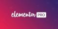 Elementor Pro v3.34.0 + Elementor Core v3.34.0 - indonesiaWP.com • No 1 Download Plugin dan ...